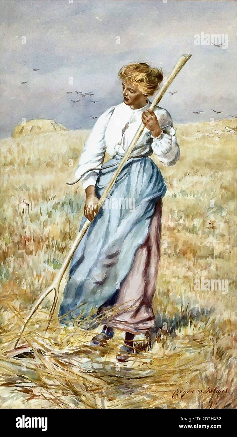 Gleaner hi-res stock photography and images - Alamy