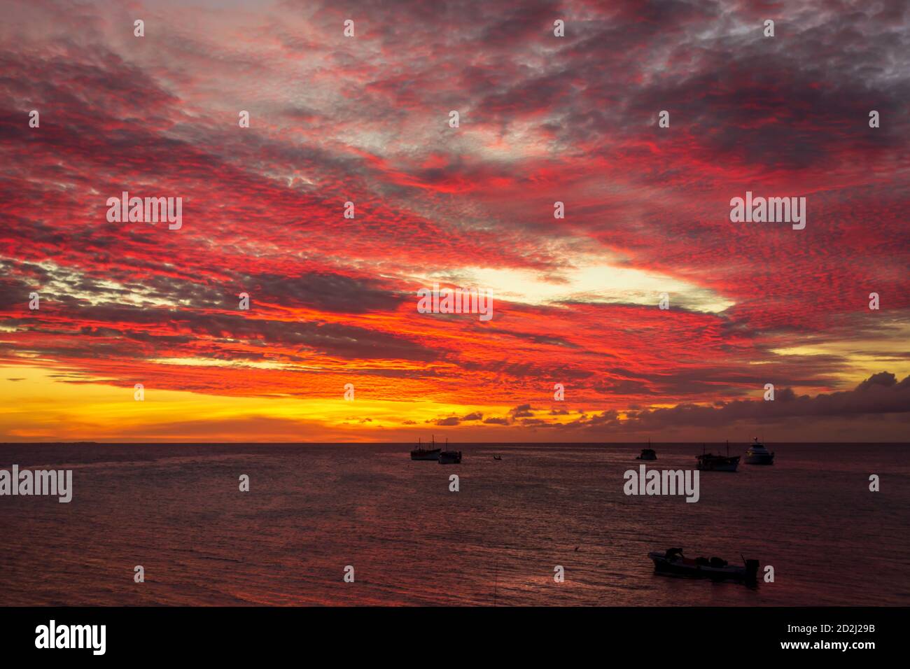 Los roques island with tourists hi-res stock photography and images - Alamy