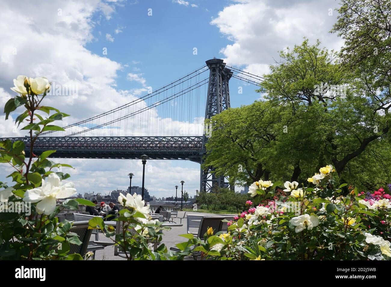 Brooklyn bridge park flowers hi-res stock photography and images - Alamy