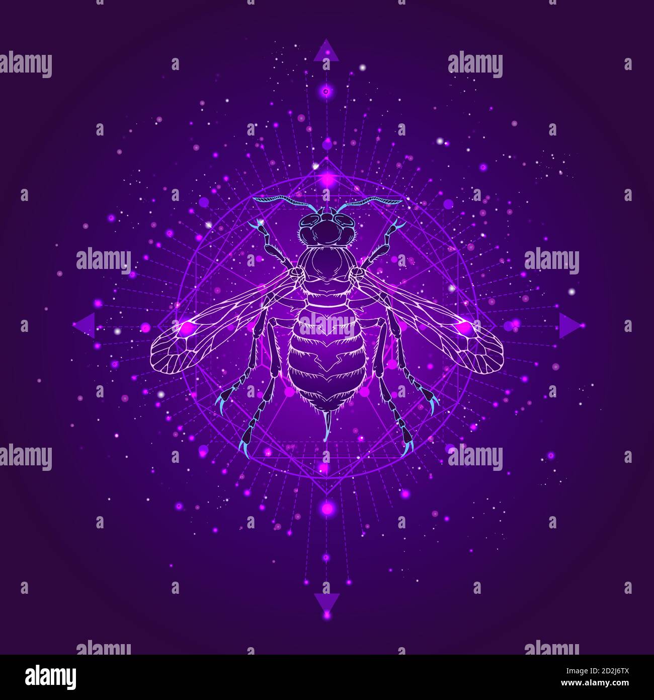 Vector illustration with hand drawn wasp and Sacred geometric symbol ...