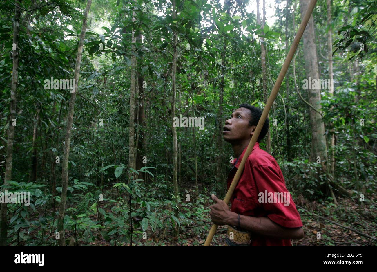 Human tribe man hunting hi-res stock photography and images - Alamy