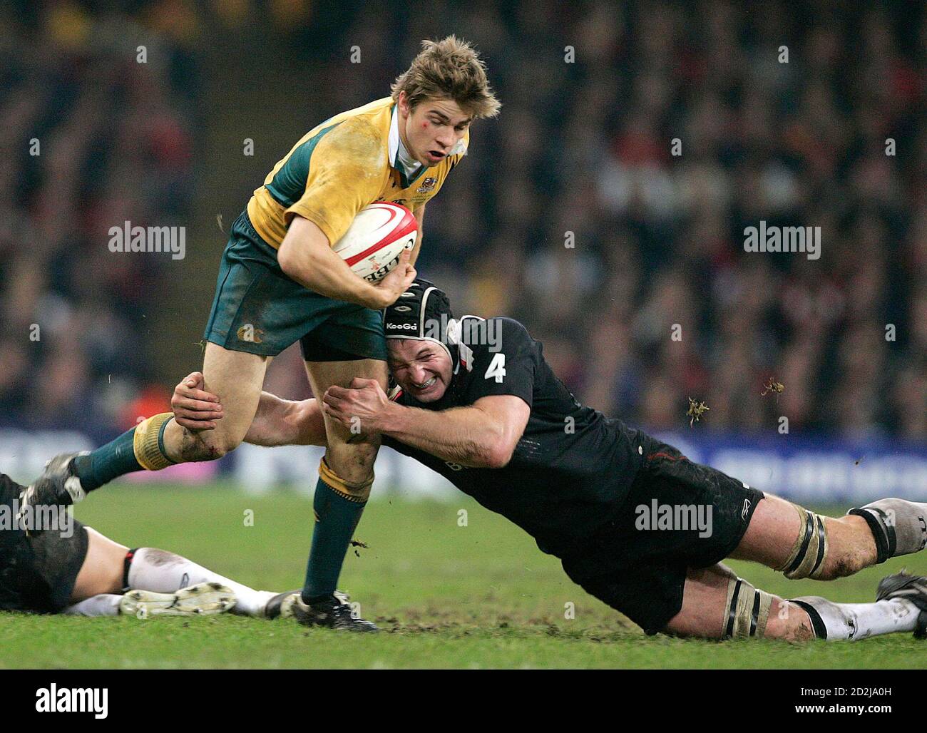 Australias drew mitchell hi-res stock photography and images - Alamy