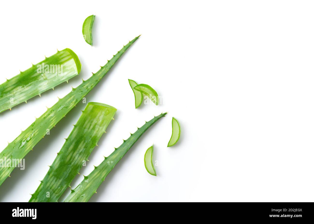 Cut aloe vera placed on a white background with space Stock Photo - Alamy