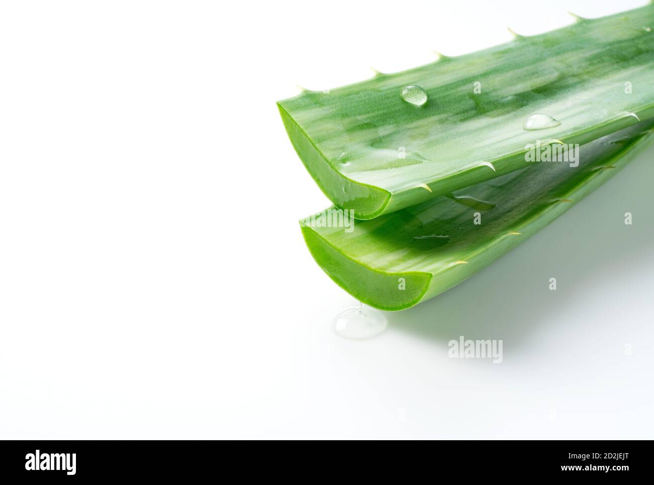 Cut aloe vera placed on a white background Stock Photo - Alamy