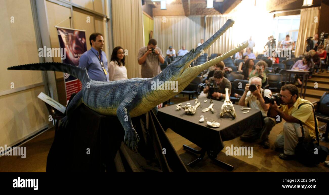 Prehistoric marine hi-res stock photography and images - Alamy