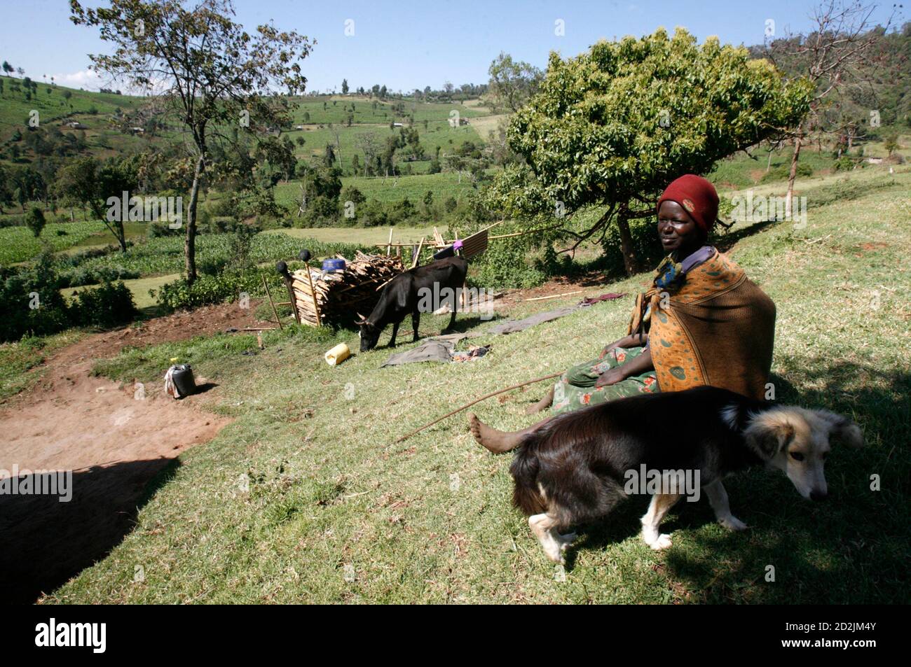 Ogiek in mau forest kenya hi-res stock photography and images - Alamy
