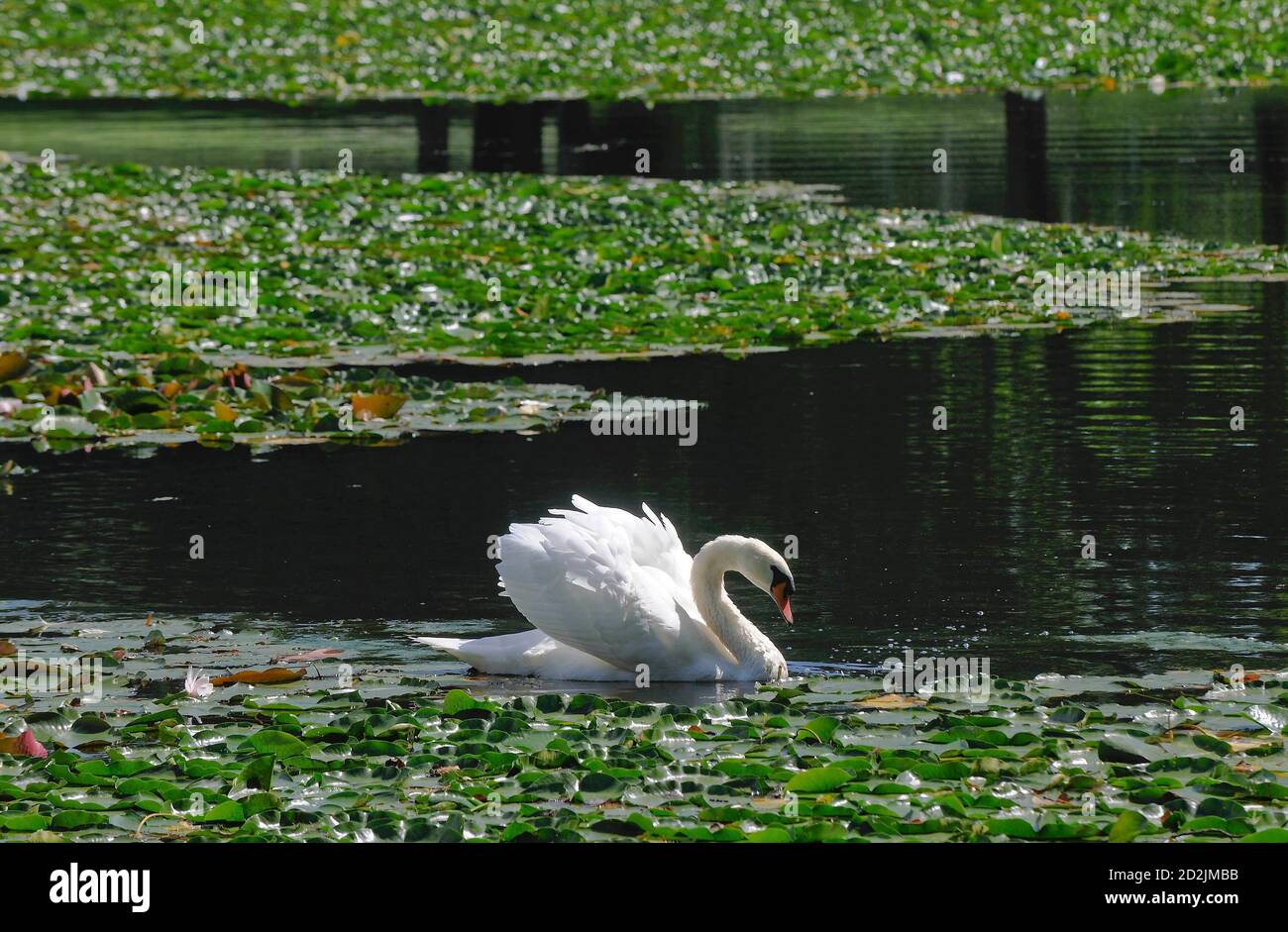 In the brdo castle hi-res stock photography and images - Alamy