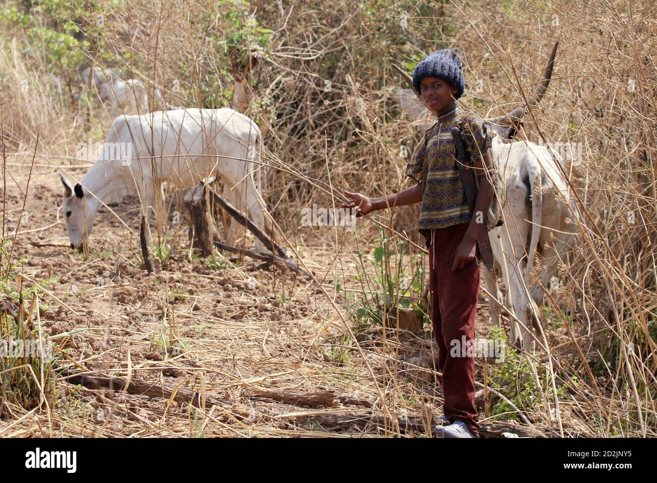 Nigerian shepherd hi-res stock photography and images - Alamy