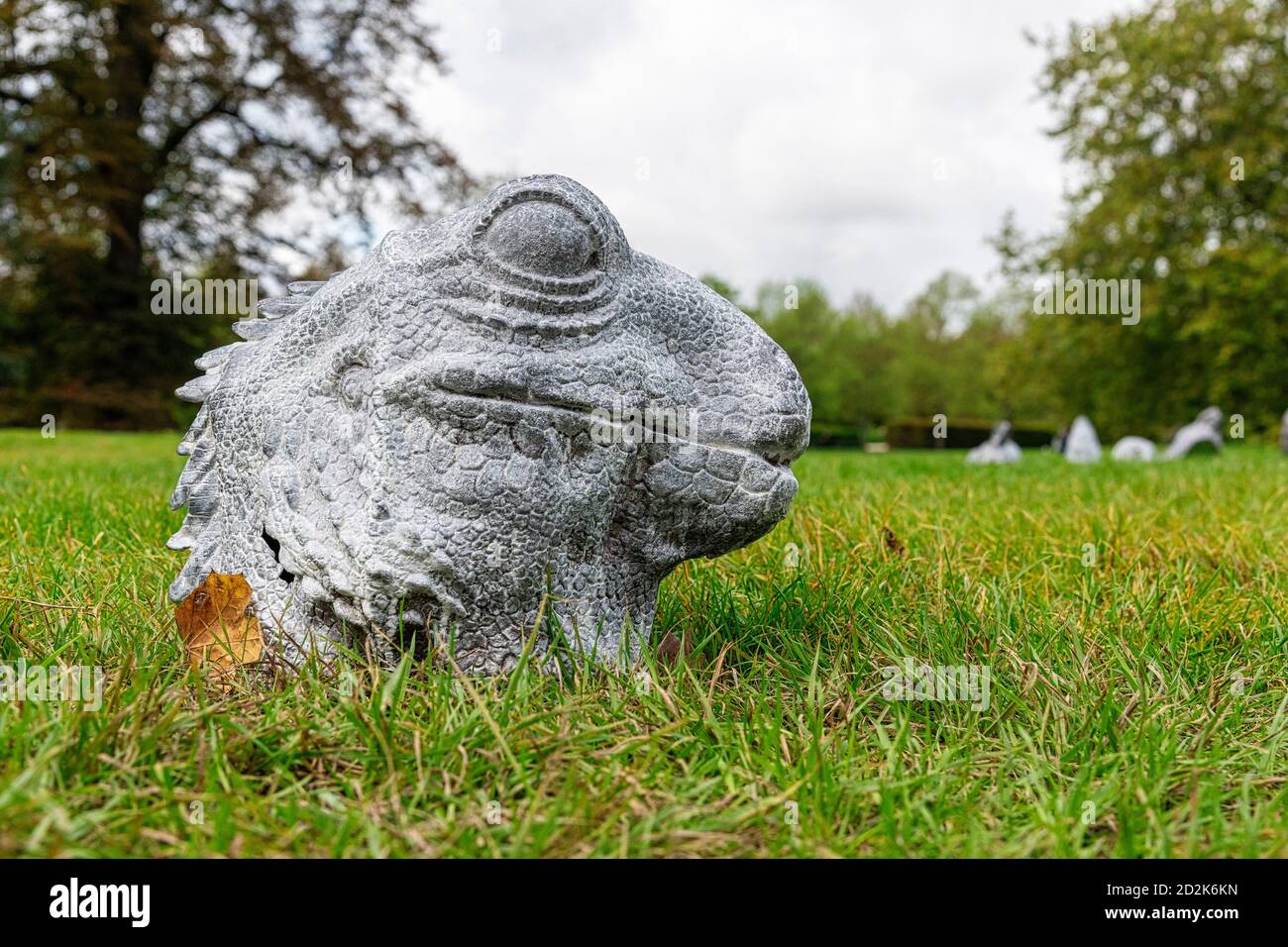 Humans and animals hi-res stock photography and images - Alamy