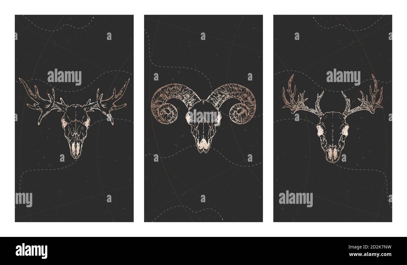 Vector set of three illustrations with gold skulls deer, moose, ram and ...
