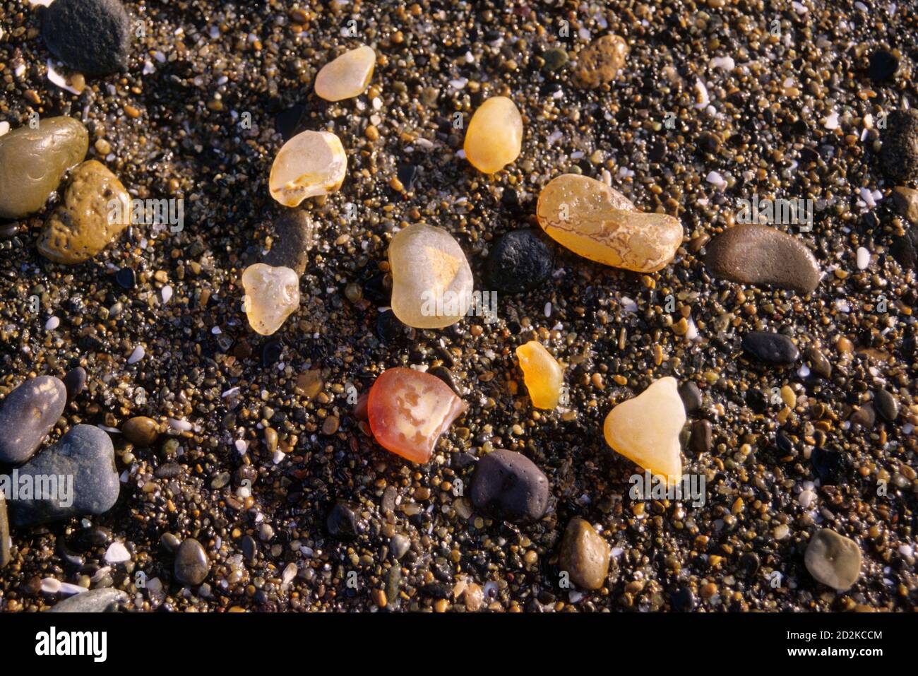 Agates at Siletz Bay mouth, Lincoln City, Oregon Stock Photo - Alamy
