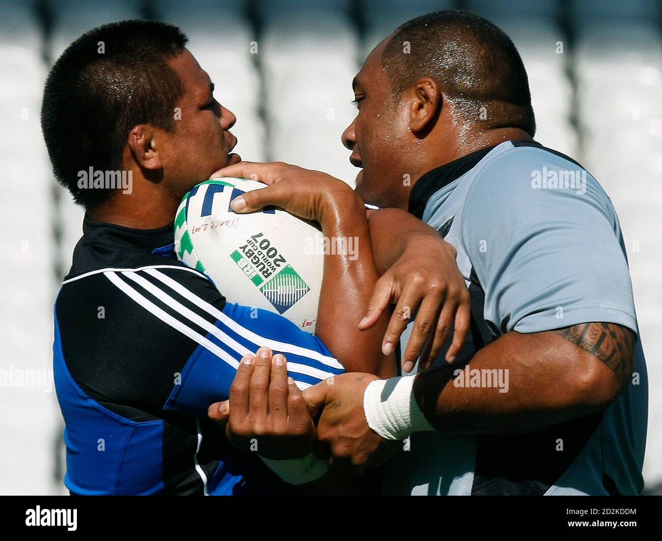 New zealands neemia tialata hi-res stock photography and images - Alamy