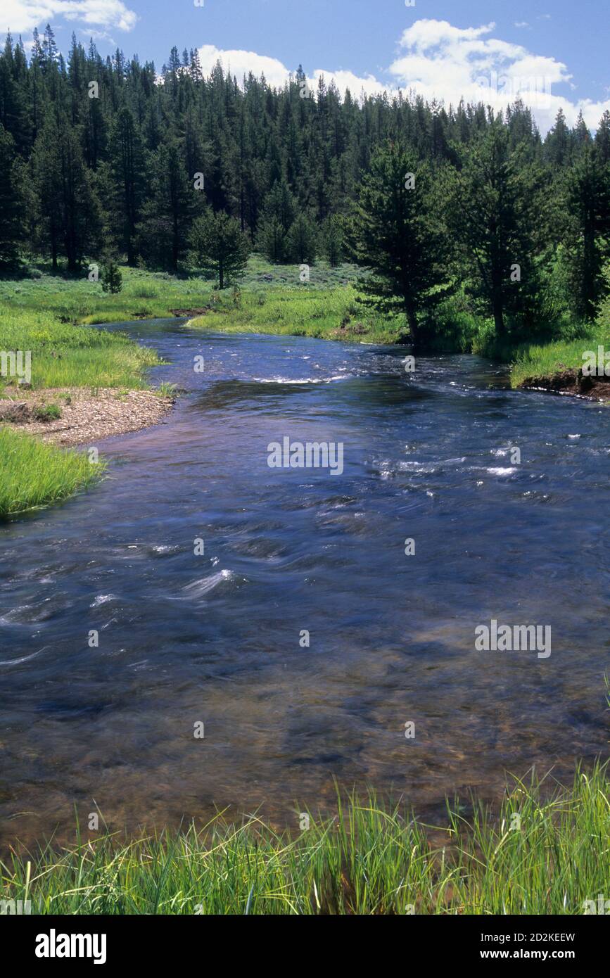 Sprague river hi-res stock photography and images - Alamy