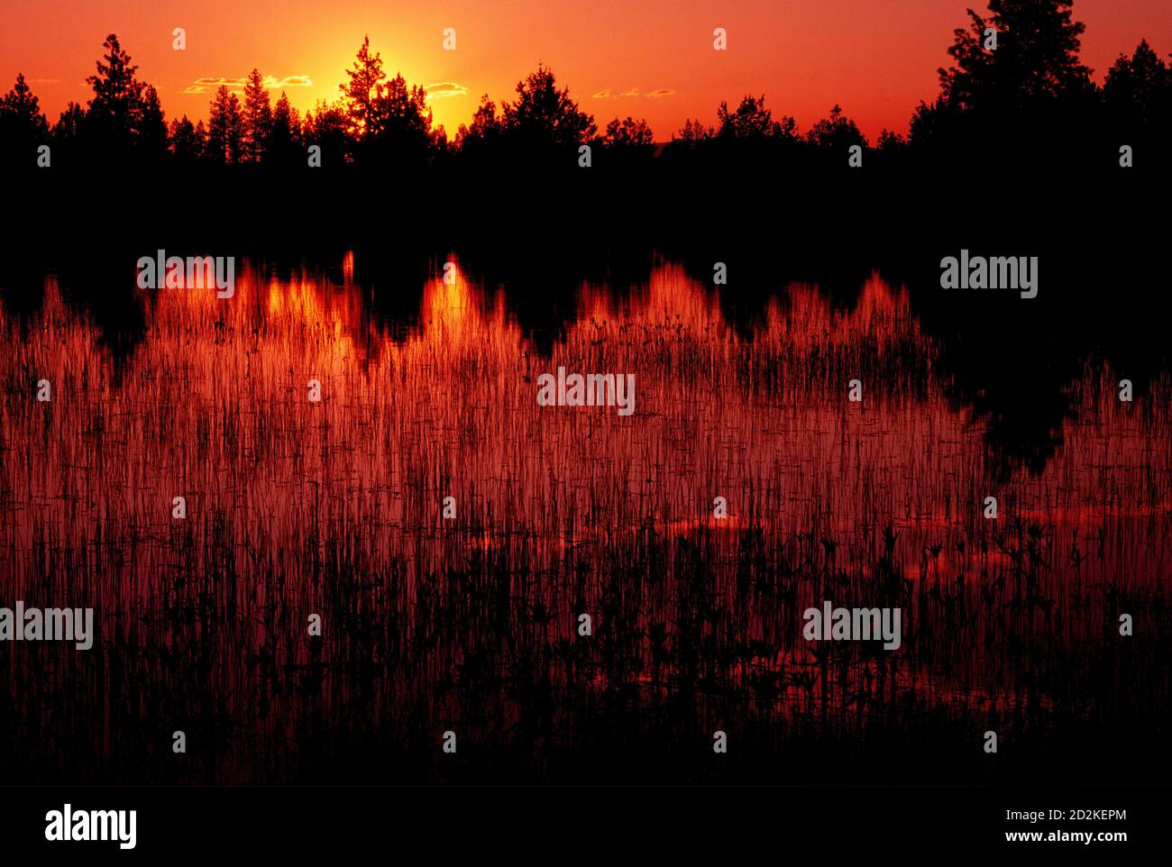 Potholes at Gerber Reservoir Recreation Site, Klamath Falls Bureau of ...