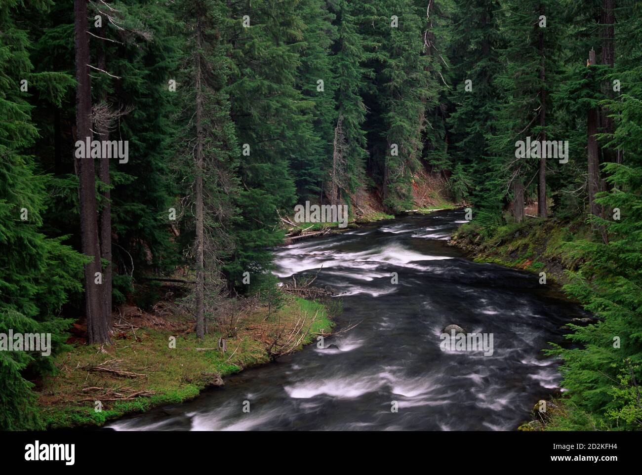 Rogue River in Winding River Canyon, Rogue Wild & Scenic River, Rogue ...