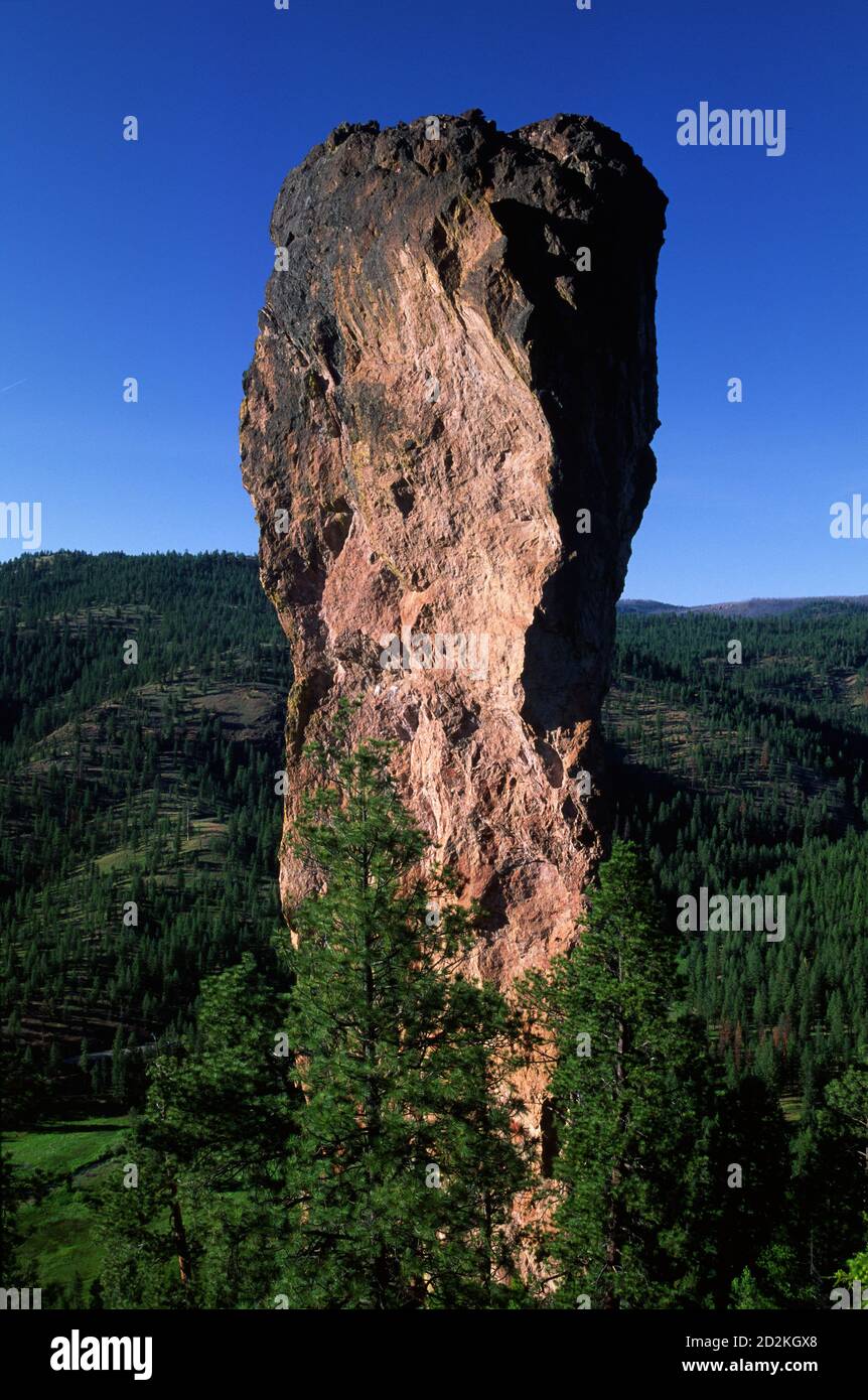 Steins Pillar from Steins Pillar Trail, Ochoco National Forest, Oregon ...