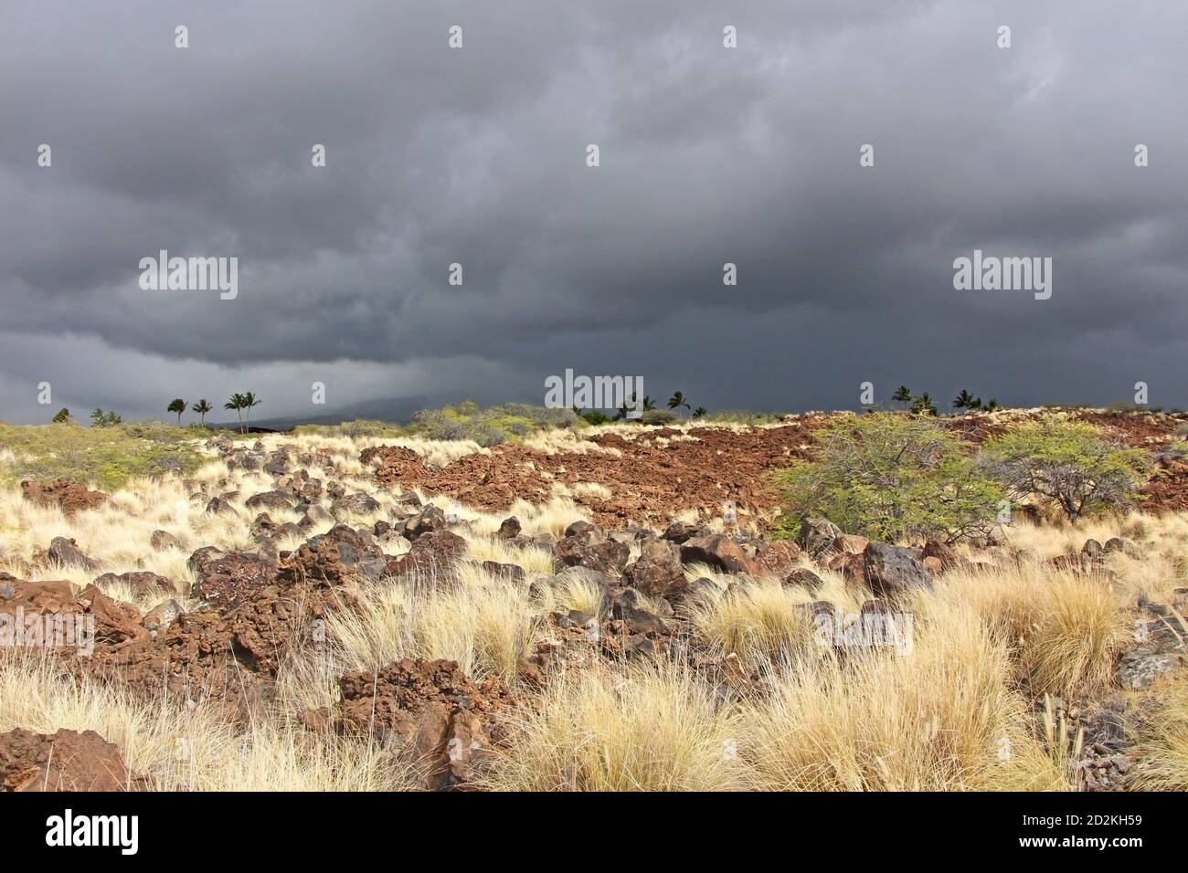 Rain clouds cumulus dark sky ominous desert hi-res stock photography ...