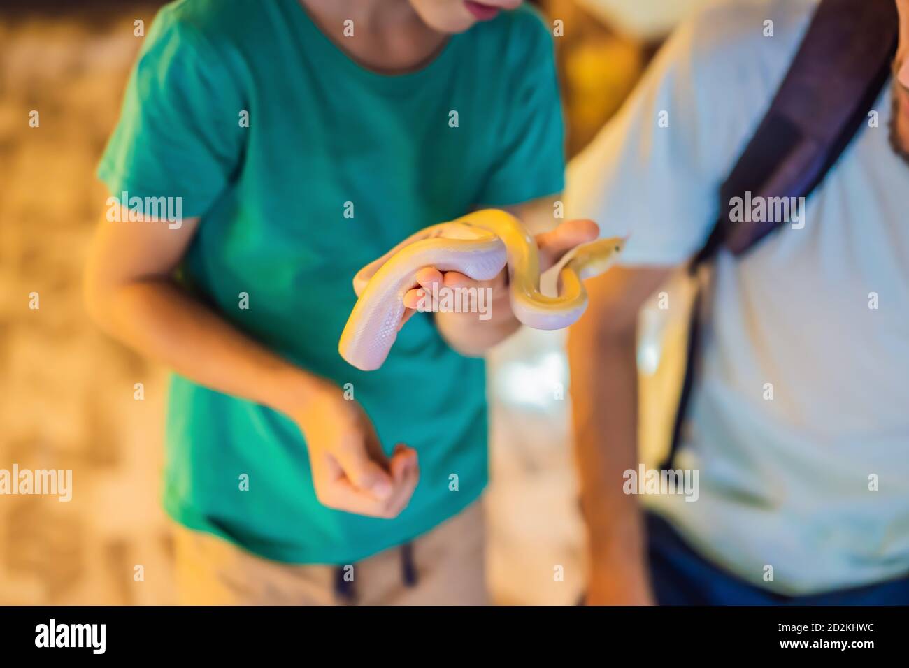 Boy With Python High Resolution Stock Photography and Images - Alamy