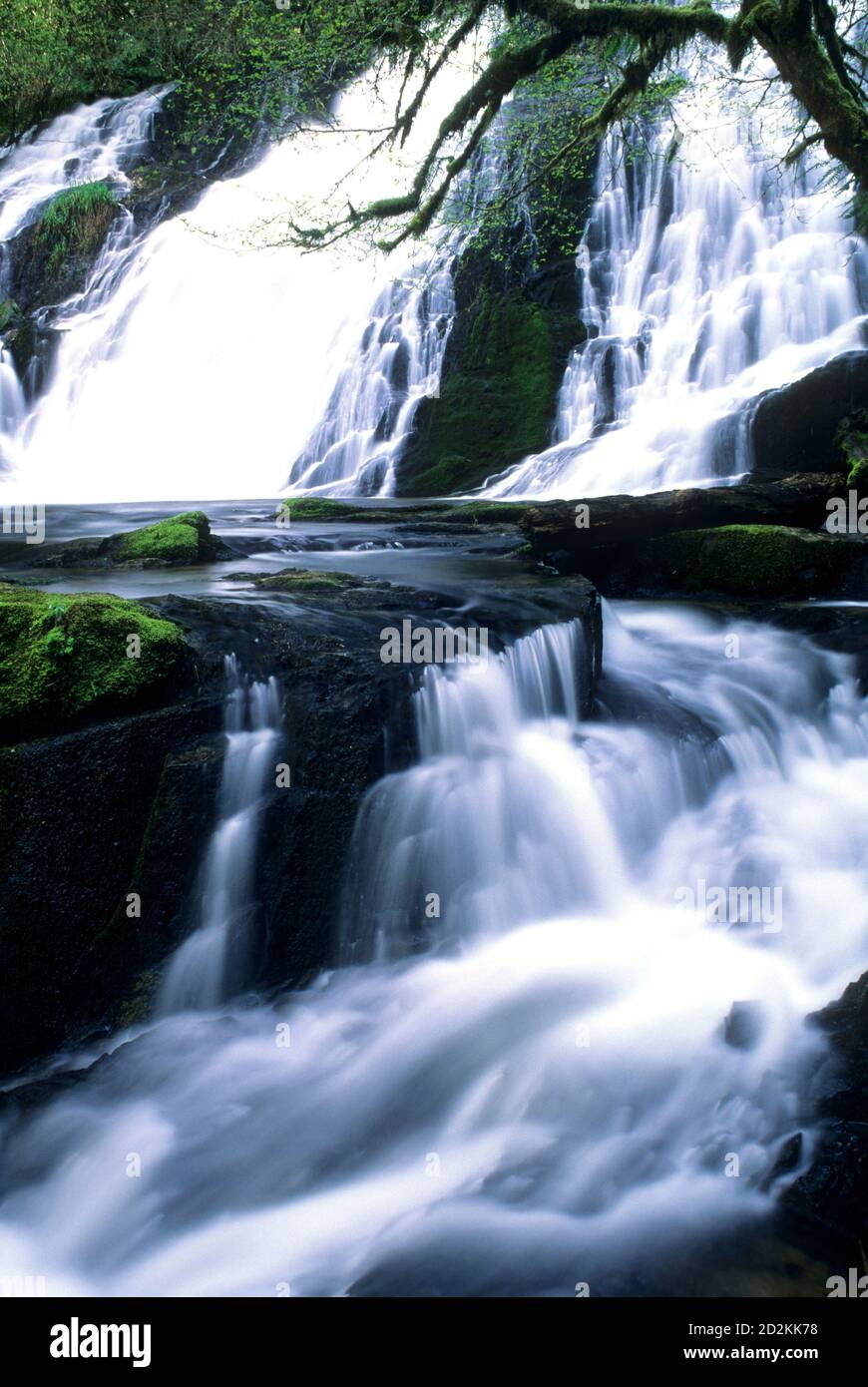 Green Peak Falls, Alsea Falls Bureau of Land Management Recreation Site ...
