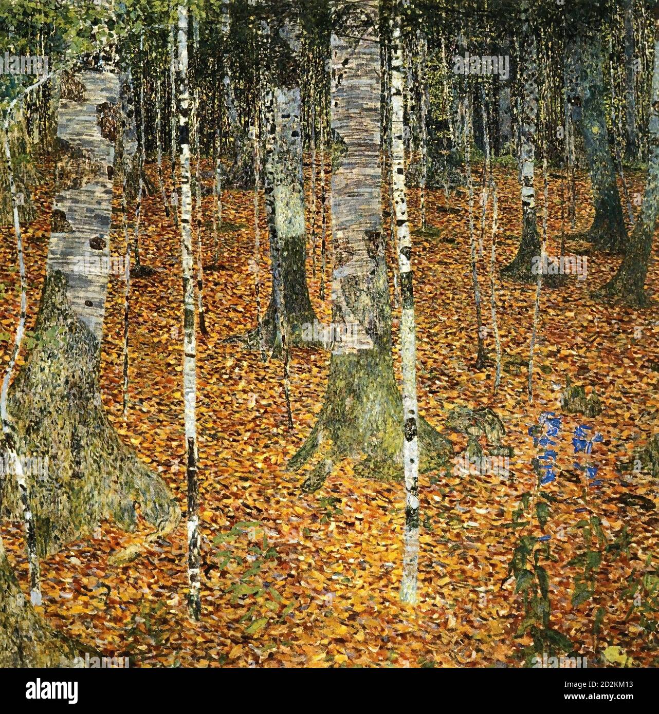 Klimt Gustave - Birch Forest 2 - Austrian School - 19th Century Stock ...