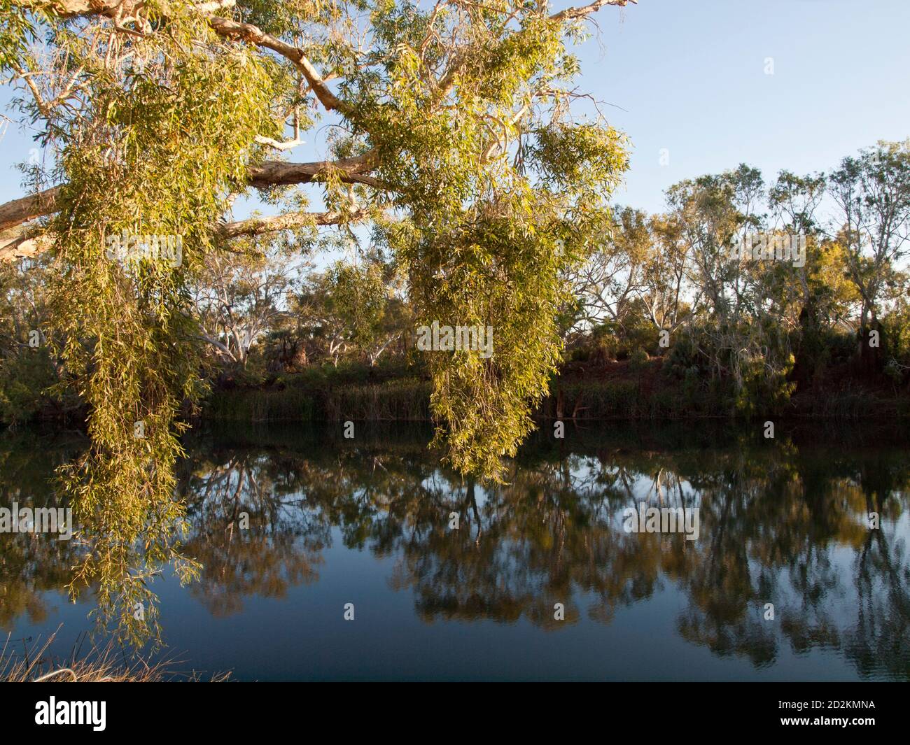 Gums crossing hi-res stock photography and images - Alamy