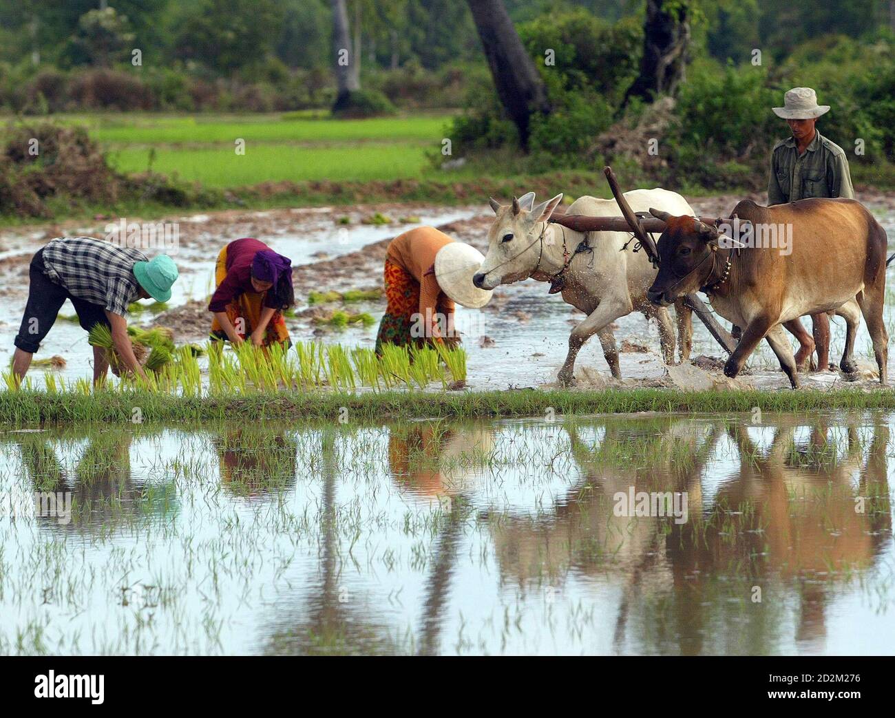 Cambodian farmer khmer rouge hi-res stock photography and images - Alamy