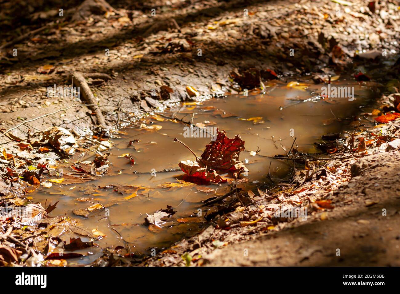Puddle floor hi-res stock photography and images - Alamy