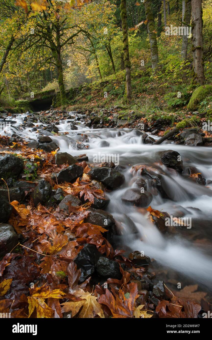 Pennsylvania wilds hi-res stock photography and images - Alamy