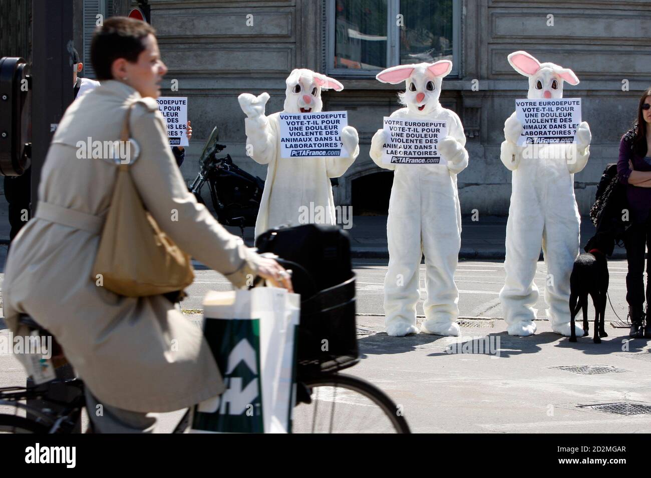 Rabbit costumes hi-res stock photography and images - Alamy