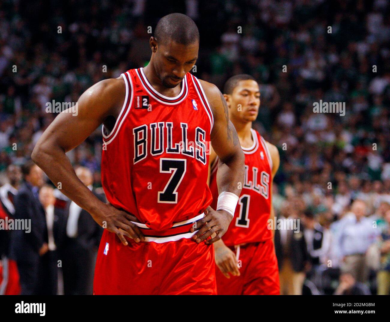 Rose walk hi-res stock photography and images - Alamy