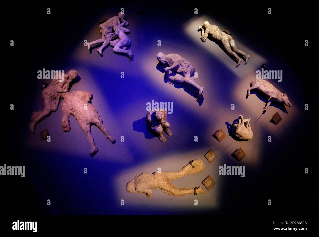 Human plaster casts pompeii hi-res stock photography and images - Alamy
