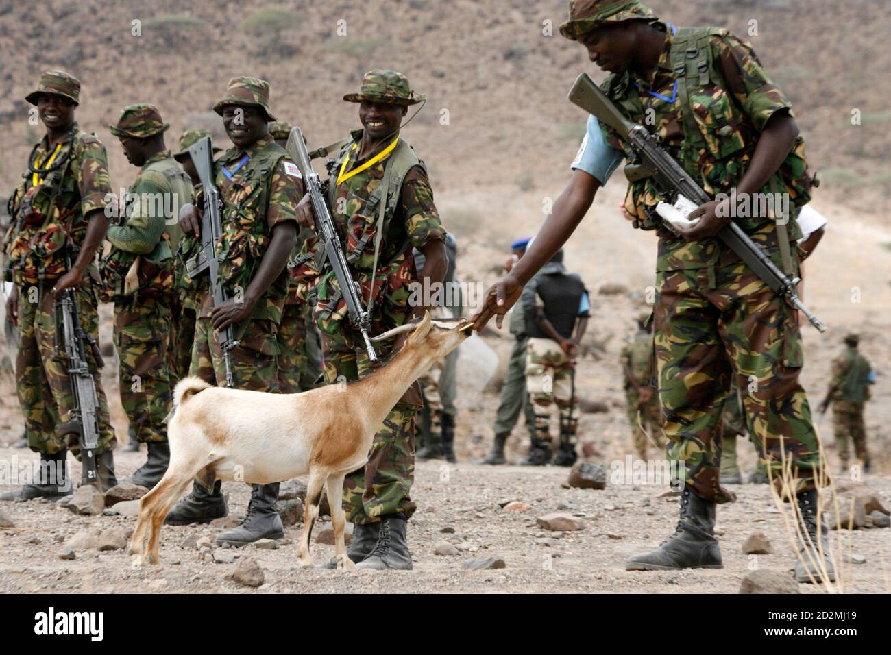 Build a goat hi-res stock photography and images - Alamy
