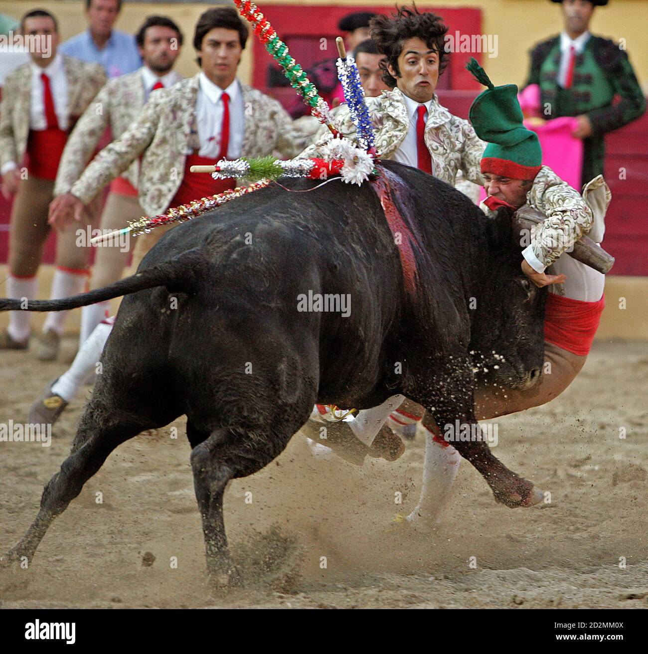 Bulls cap hi-res stock photography and images - Alamy