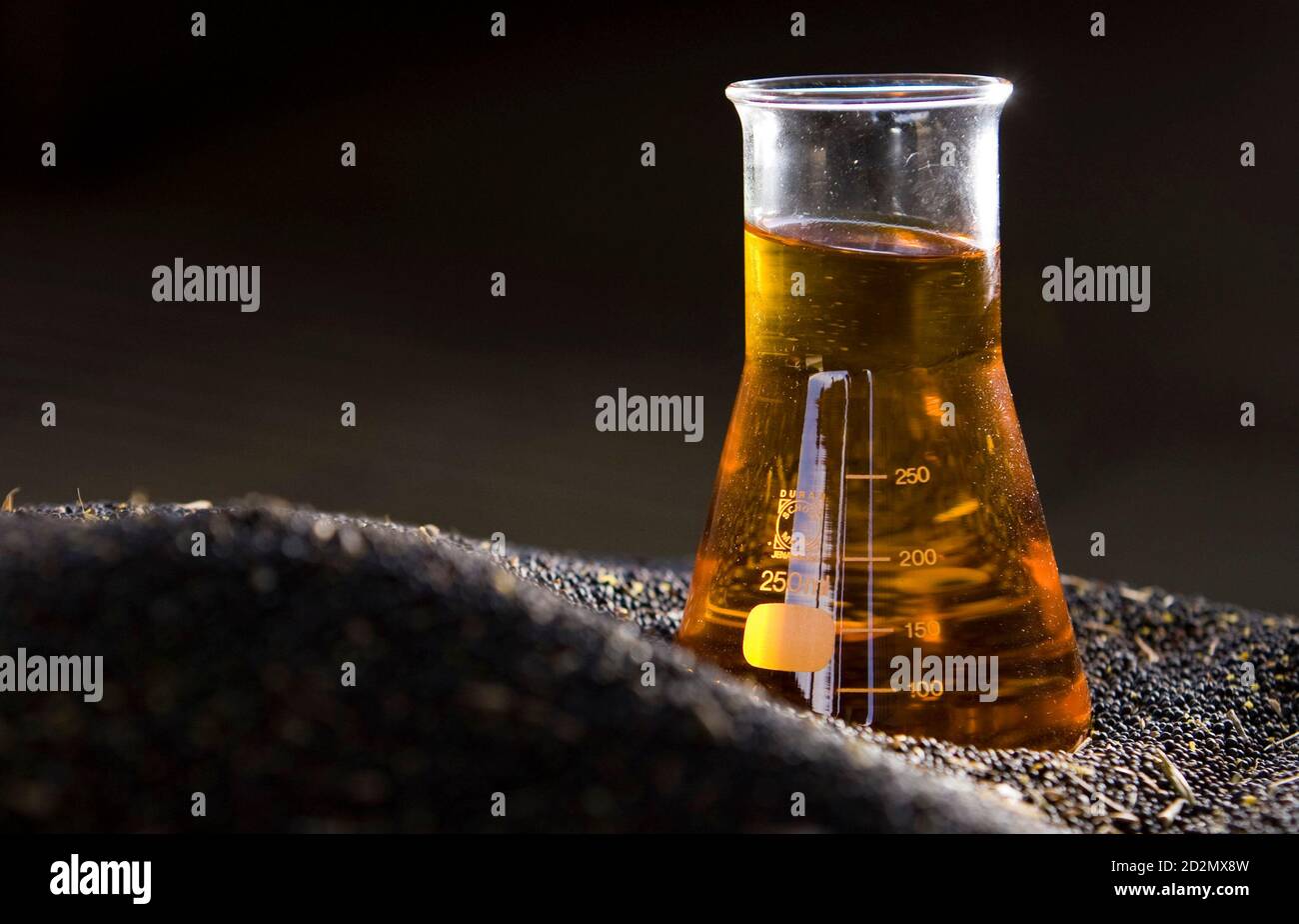 Rapeseeds High Resolution Stock Photography and Images - Alamy