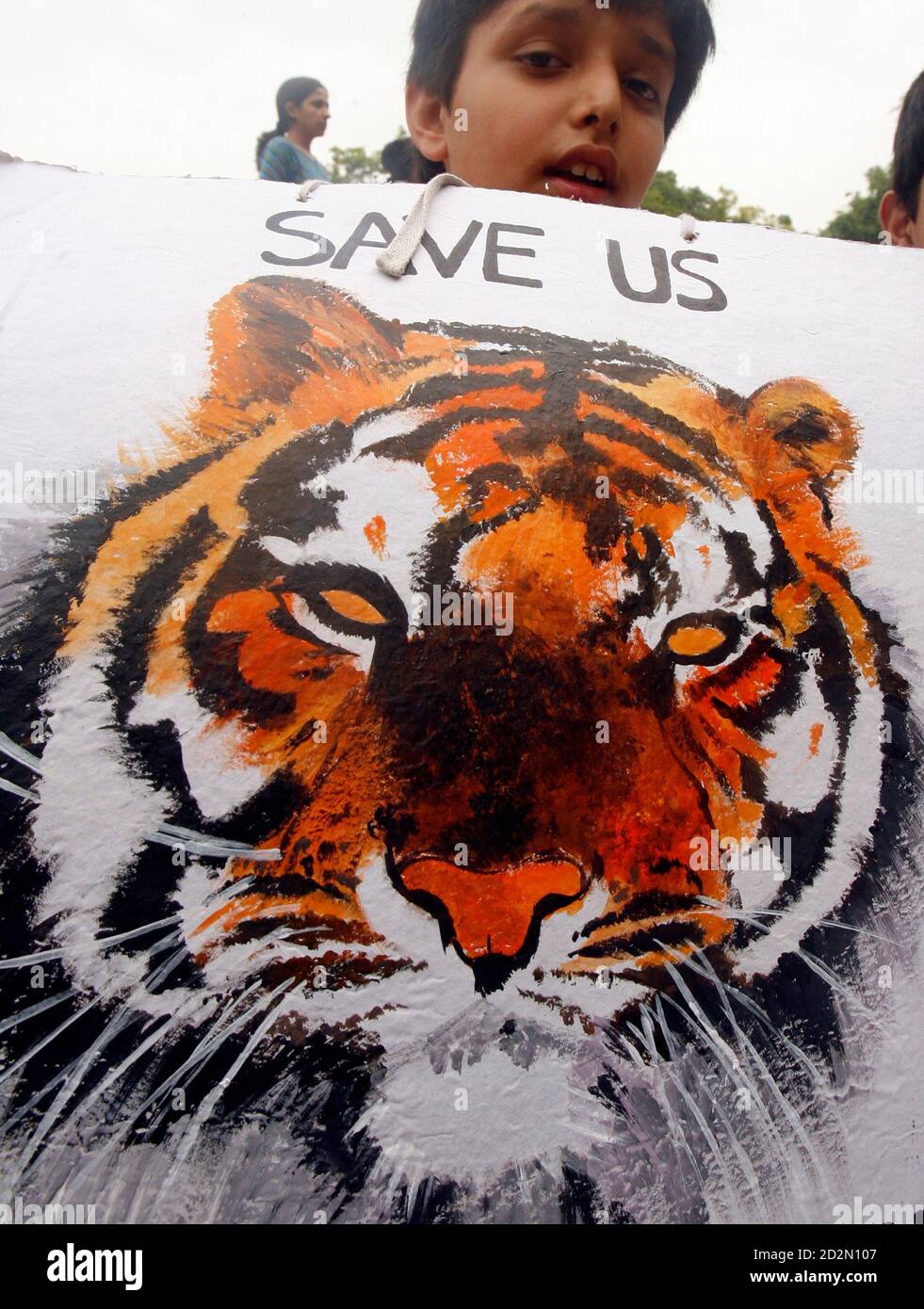 Tiger education hi-res stock photography and images - Alamy