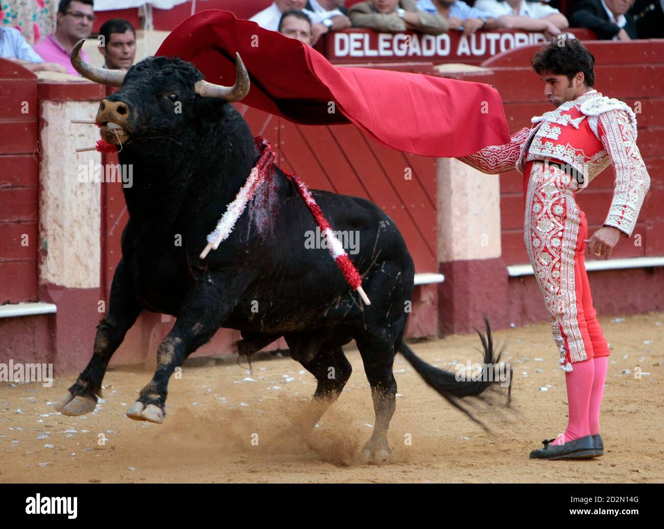 Francisco rivera bullfight hi-res stock photography and images - Alamy
