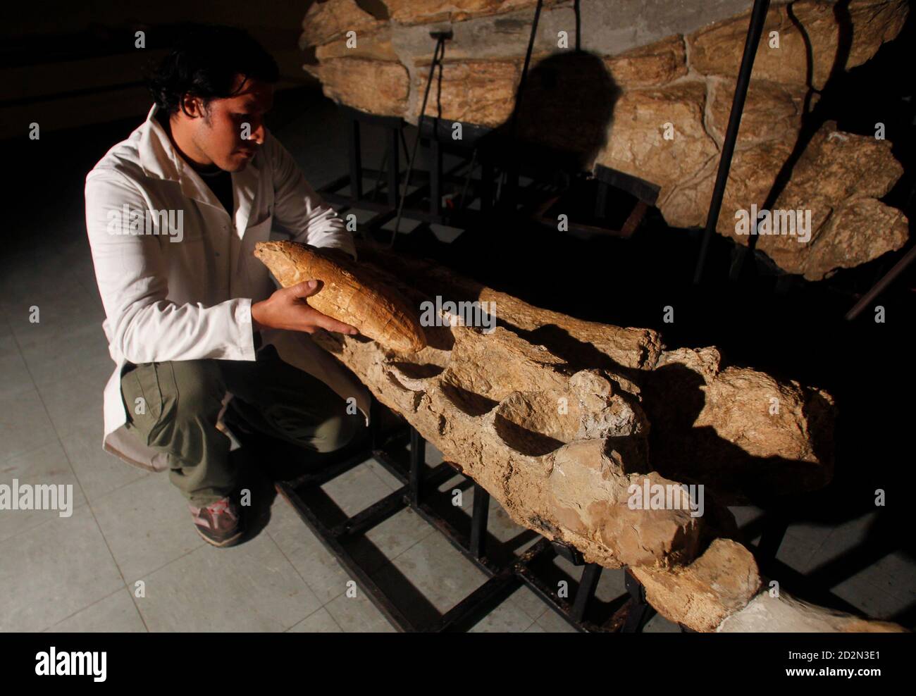 Natural history of the human teeth hi-res stock photography and images ...