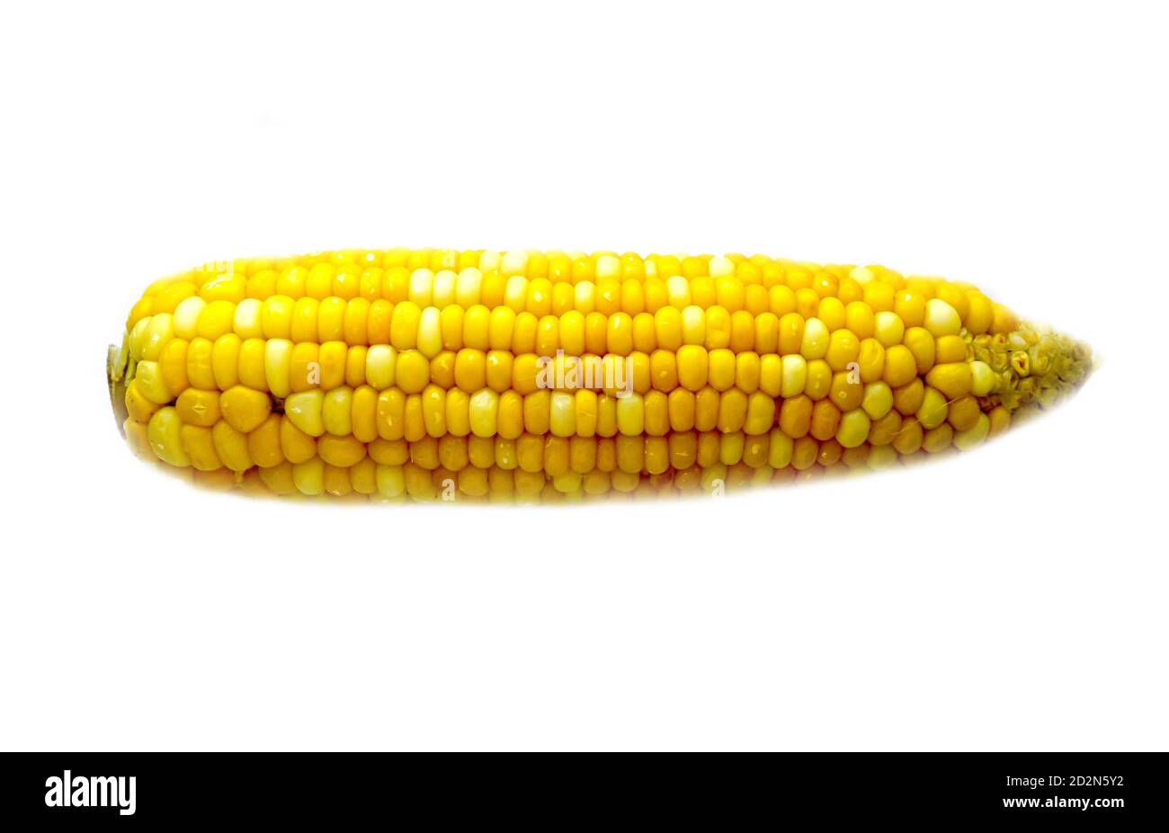 The yellow nature corn isolated Stock Photo - Alamy