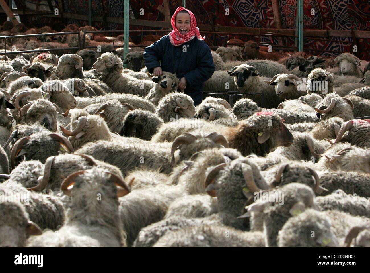 Al baqaa jordan hi-res stock photography and images - Alamy