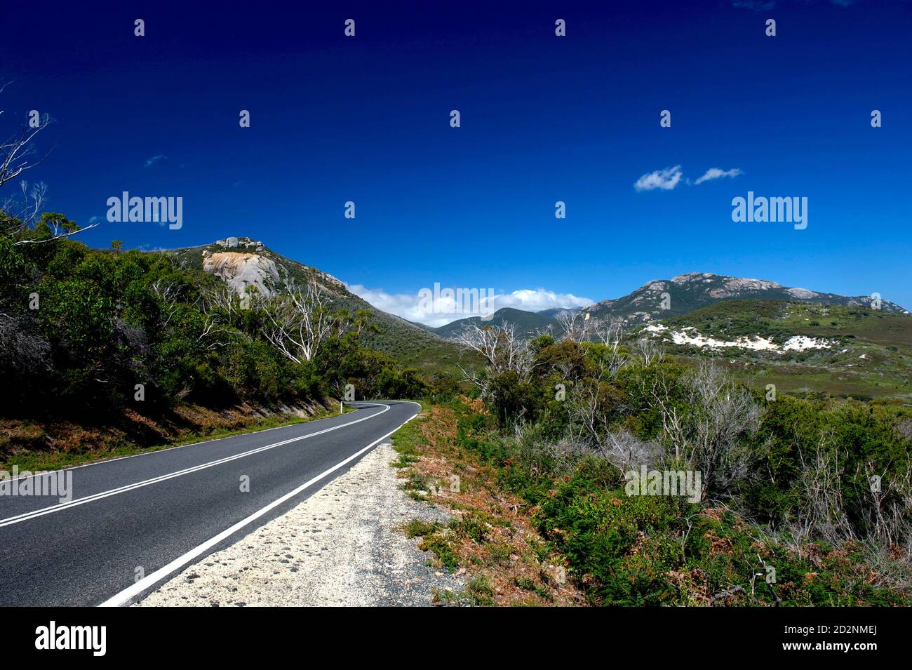 The road to Tidal River on Wilsons Promontory in Victoria, Australia ...