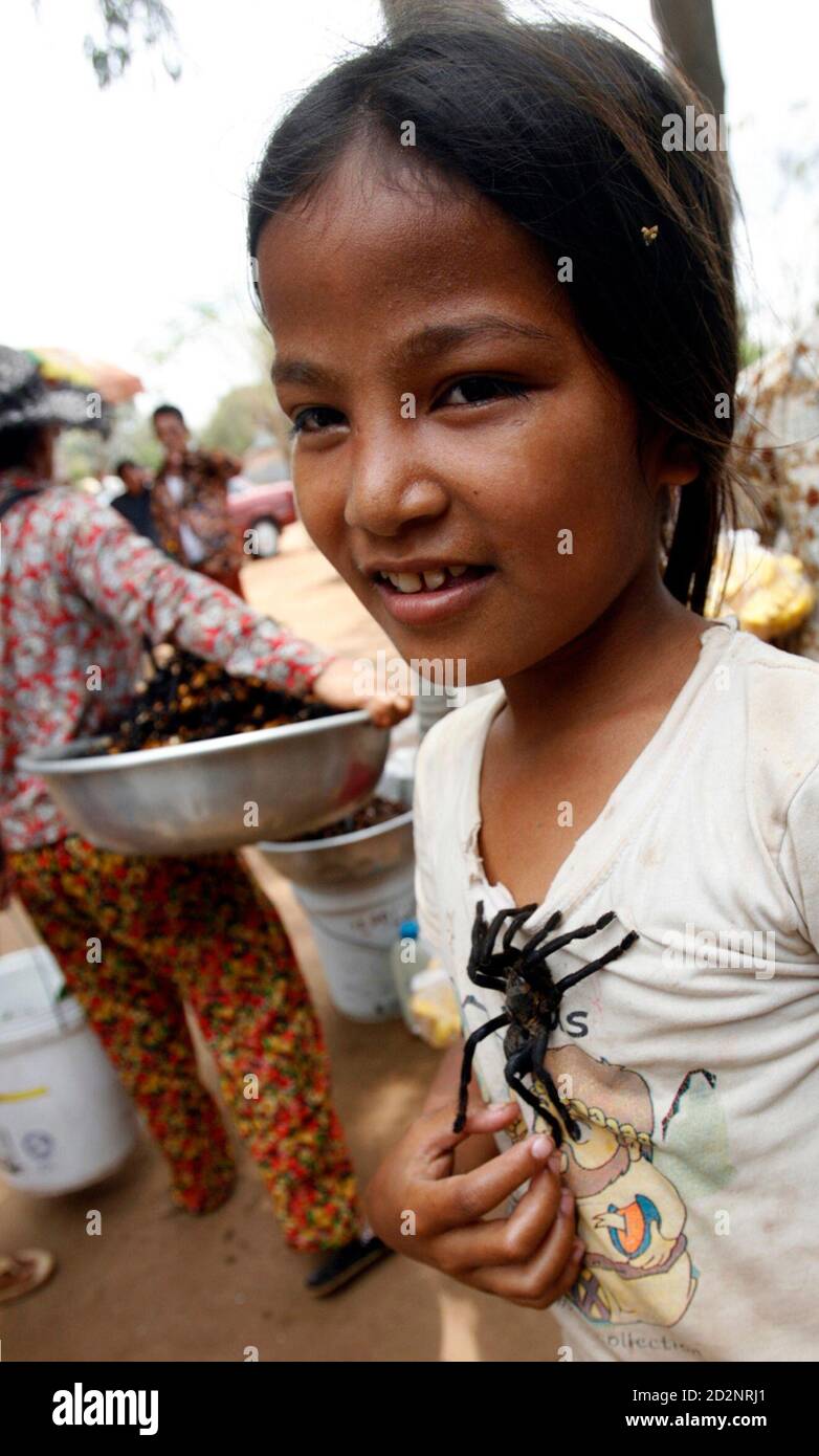 Crunchy spiders hi-res stock photography and images - Alamy