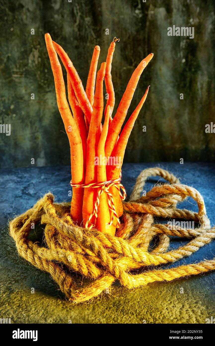 Ugly food. Deformed organic carrots on a rope on a blue background ...