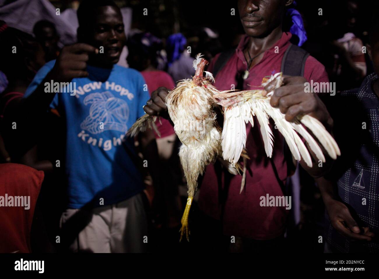 Ritual rooster hi-res stock photography and images - Alamy