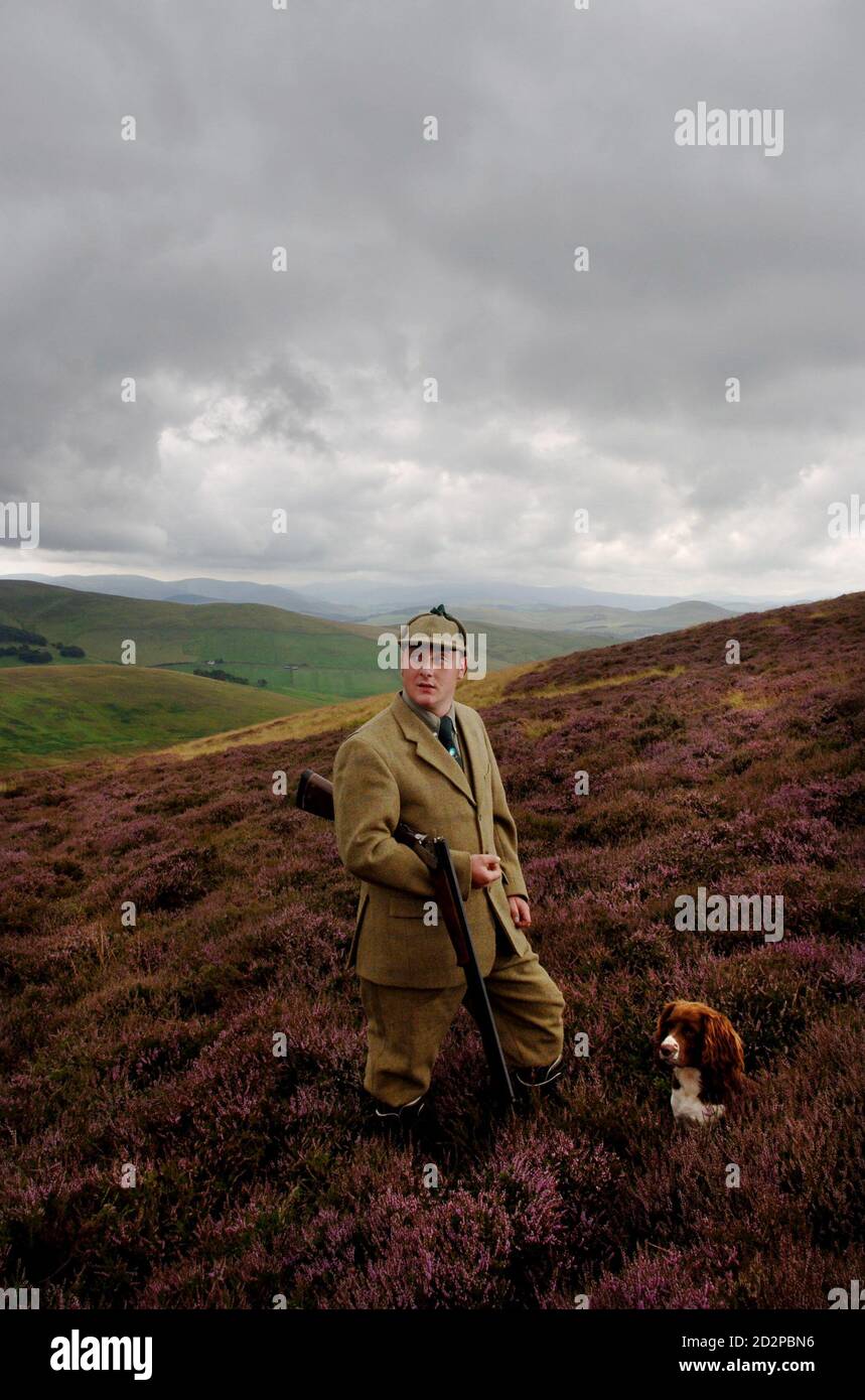 The start of the grouse shooting season hi-res stock photography and ...