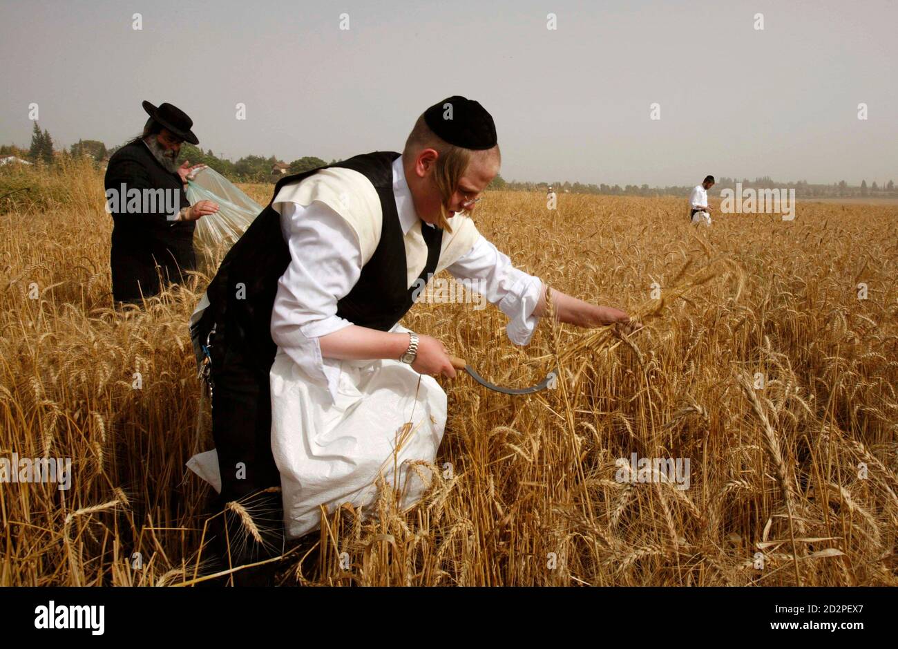 Annual harvesting hi-res stock photography and images - Alamy