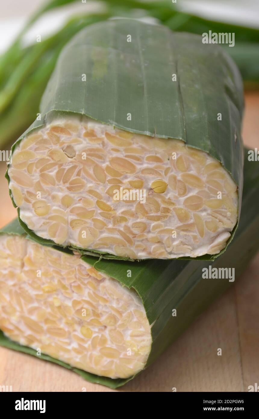 tempeh from soybean, high nutrition, Indonesian Food Stock Photo - Alamy