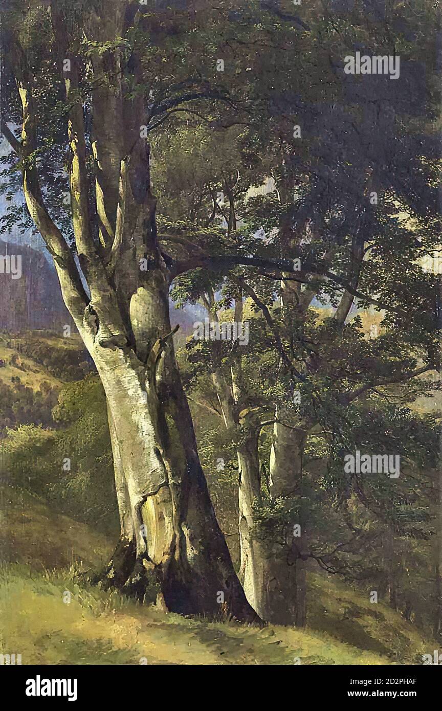 Calame Alexandre - Arbres 2 - Swiss School - 19th Century Stock Photo ...