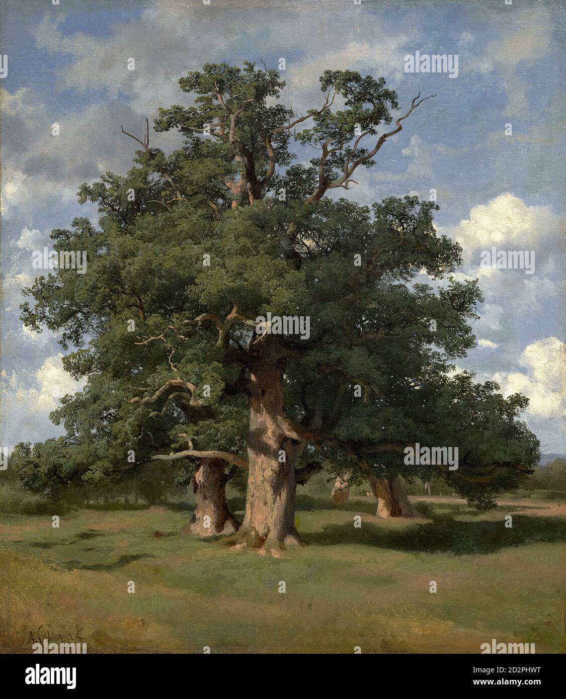 Calame Alexandre - Oak Trees - Swiss School - 19th Century Stock Photo ...