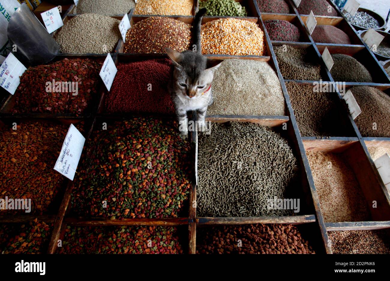 Cat on market stall in hi-res stock photography and images - Alamy