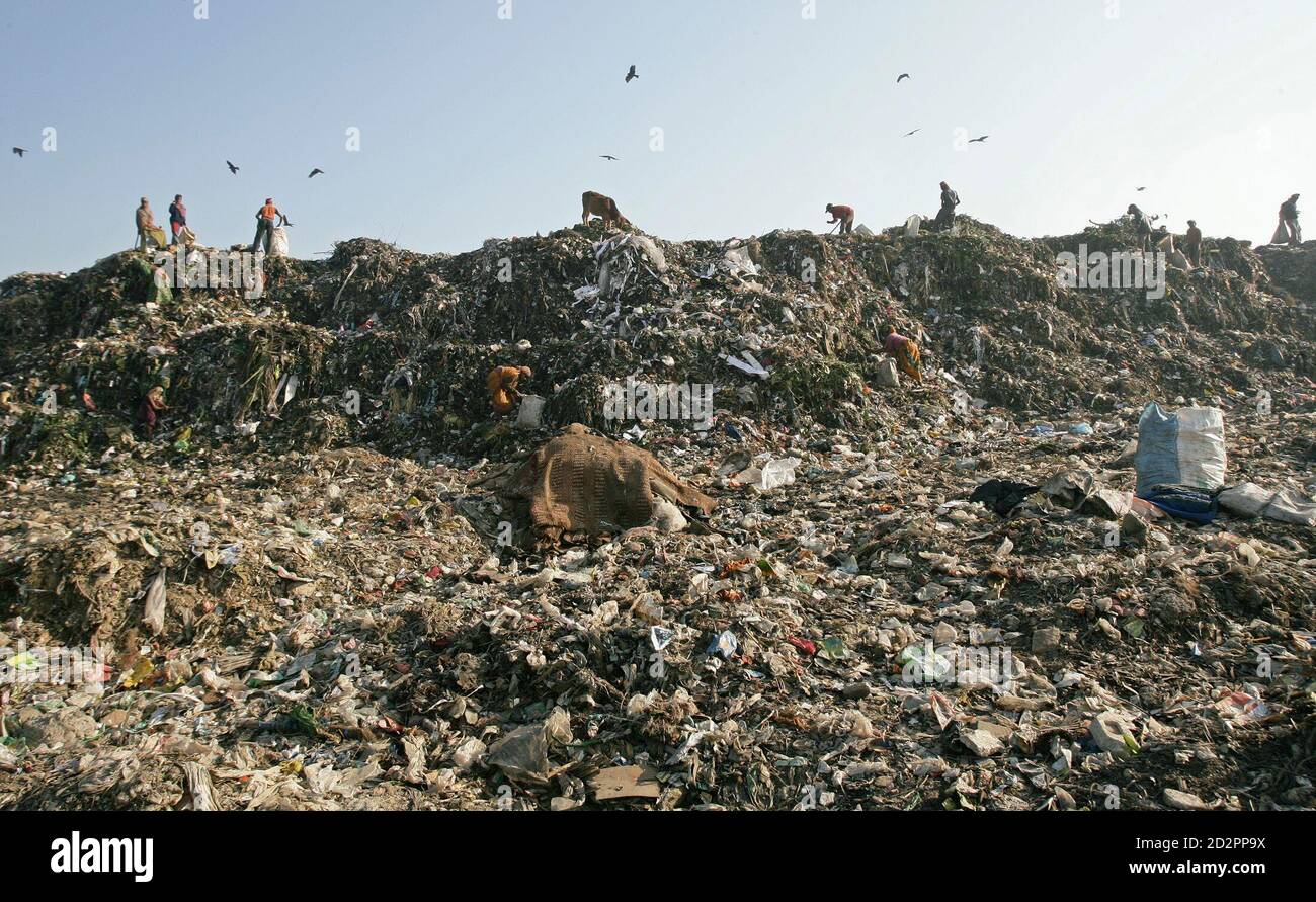 Rag pickers india hi-res stock photography and images - Alamy